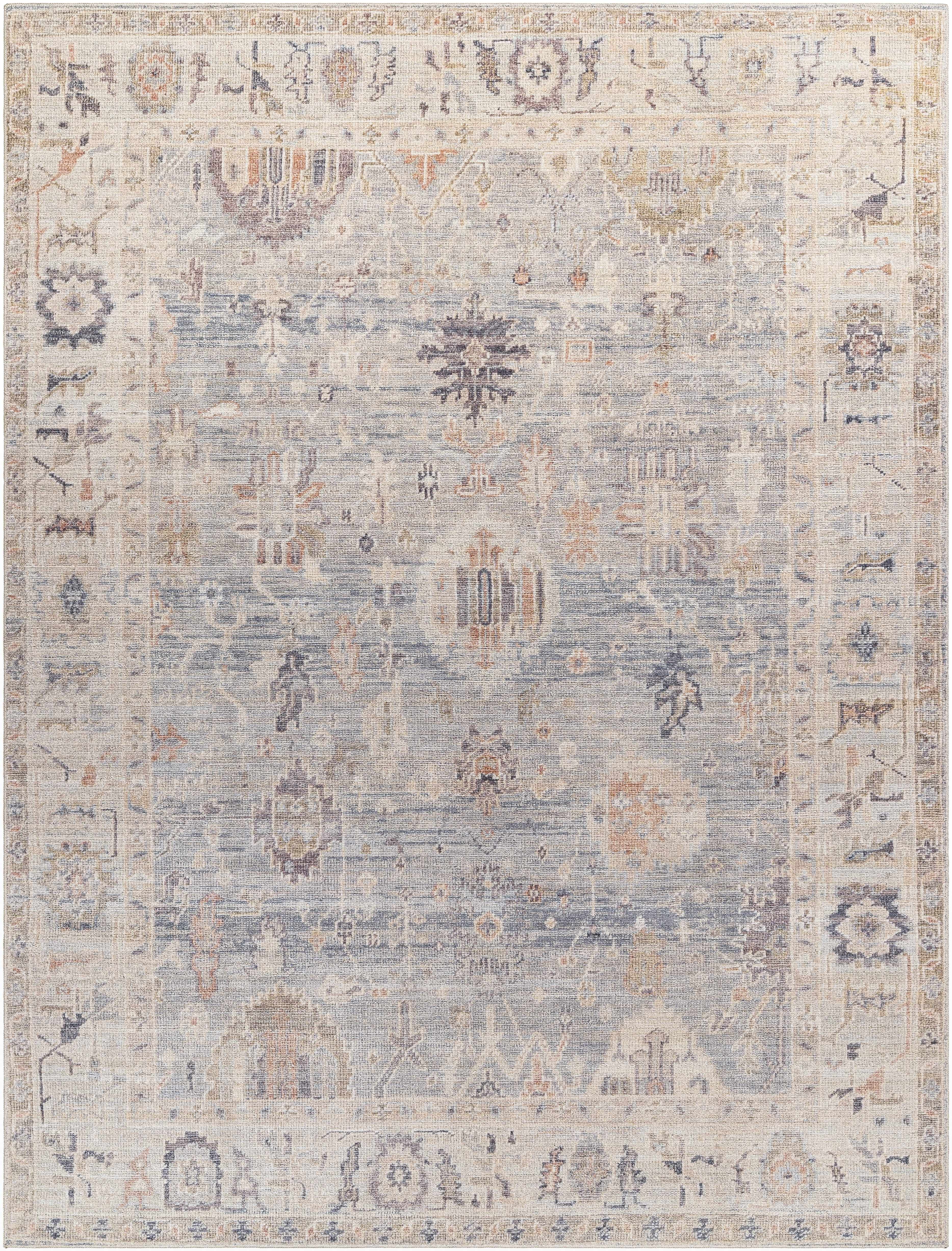 BoutiqueRugs Matat Traditional Area Rug - Pale Blue, Medium Gray ...
