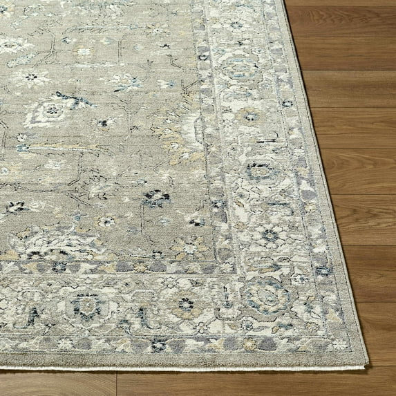 BoutiqueRugs Briony Traditional Area Rug - Stone Gray, Ivory, Charcoal ...