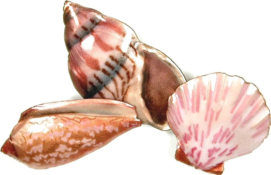 Bovano - Wall Sculpture - 3 Sea Shells - Walmart.com