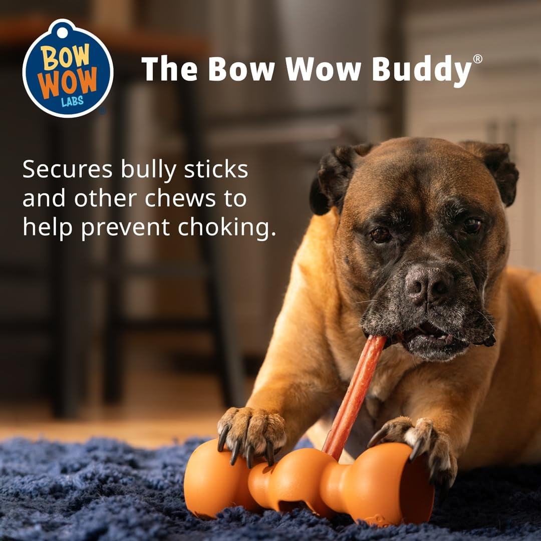 Bow Wow Labs New Bow Wow Buddy H2FSDStarter Kit - Anti-Choking Bully ...