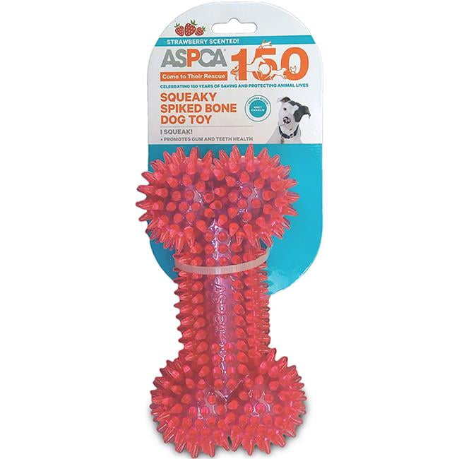 Bow Wow Pet ASPCA Squeaky Spiked Dog Bone Toy, Large, Pink - Walmart.com