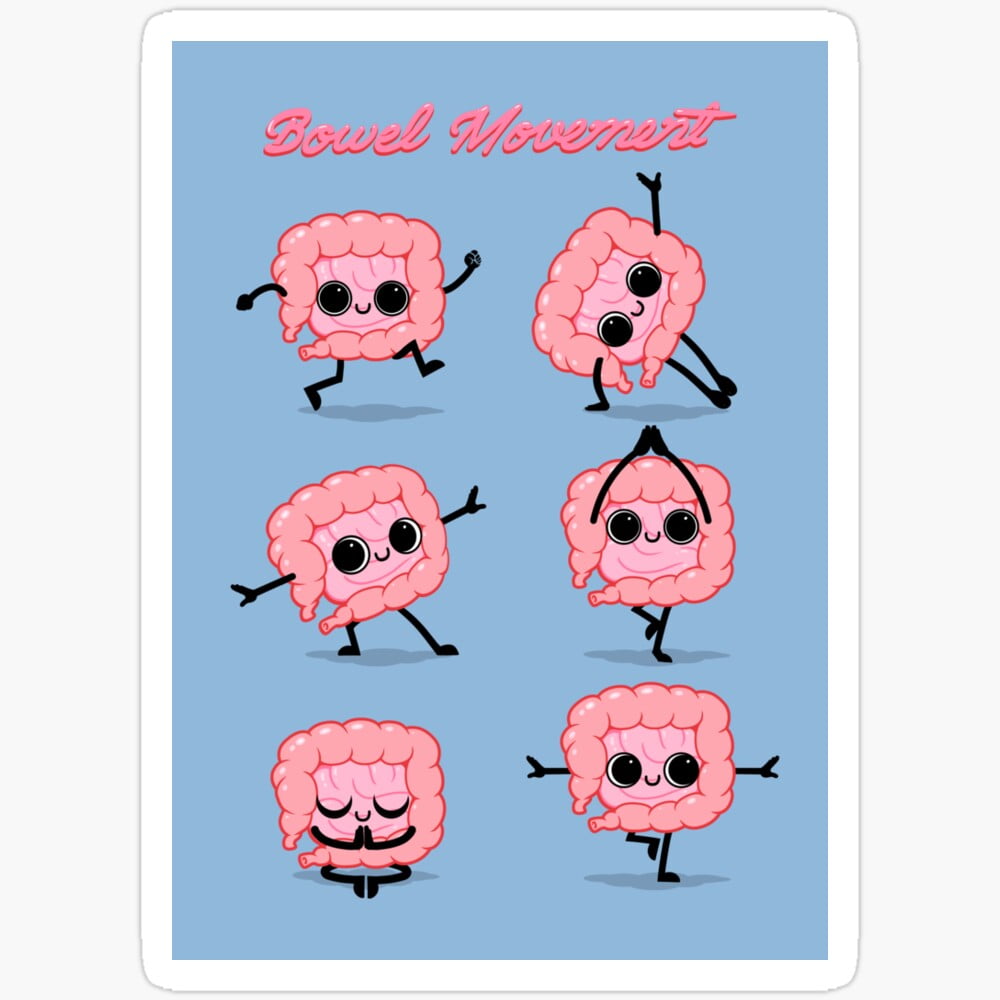 Bowel Movement Sticker Phone Decal Water Bottle Stickers Car Decals ...