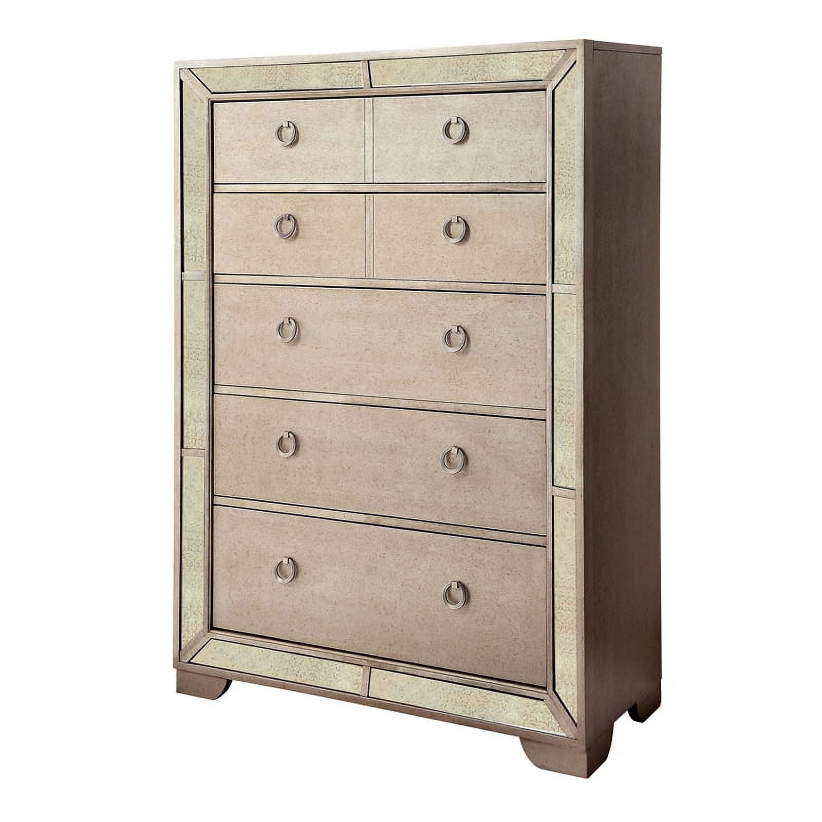 Bowery Hill 5-Drawer Contemporary Wood Mirror Panel Chest in Gold ...