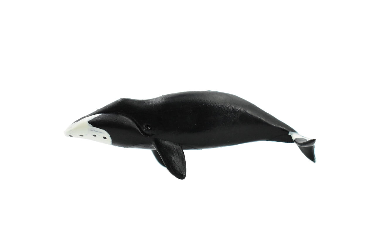 Bowhead Whale, Rubber Animal, Realistic Toy Figure, Model, Replica ...