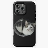 Bowl o Theon V2 Funny Meme Cat Humor iPhone Case 11 12 13 14 15 16 17 ...