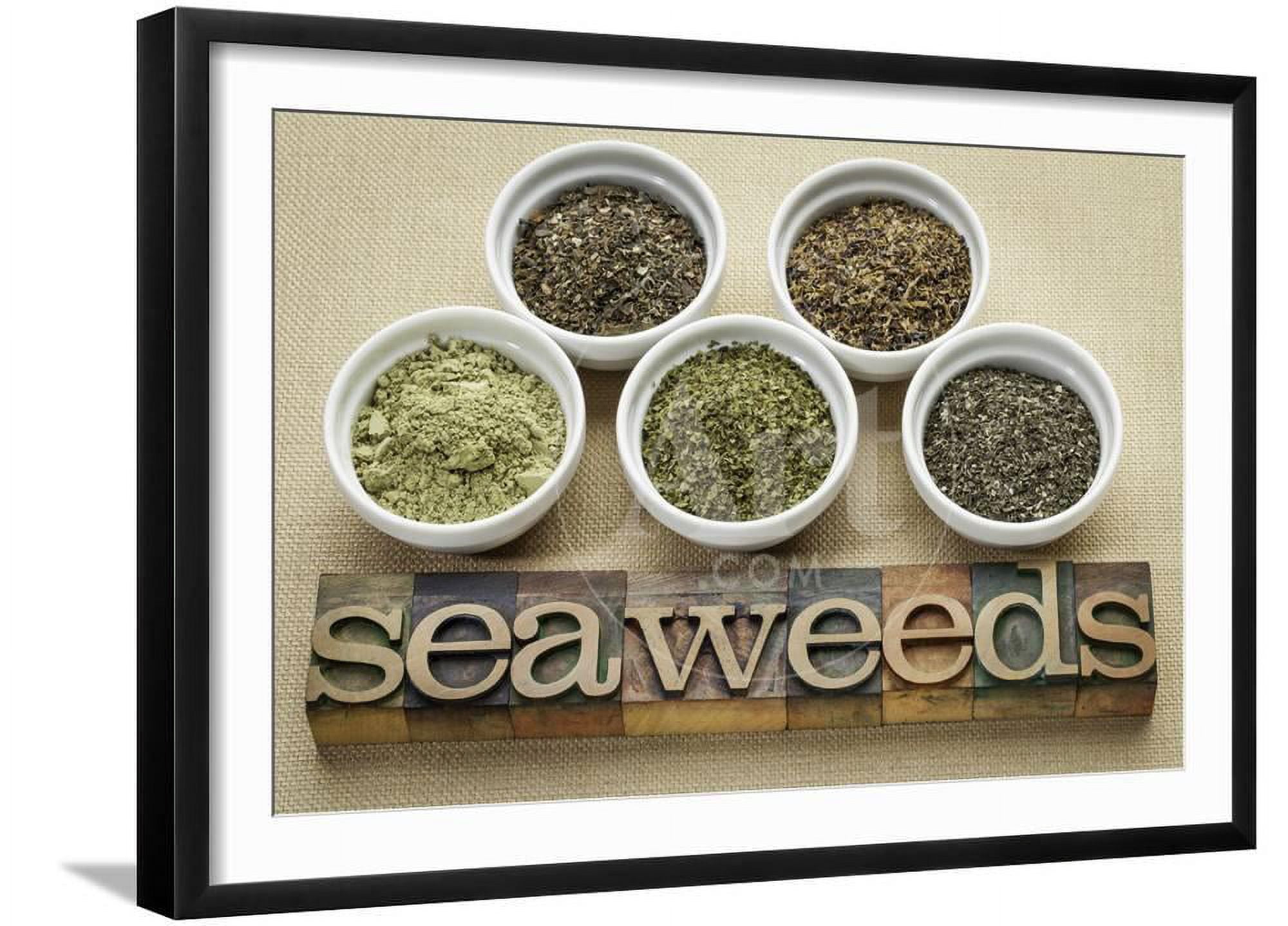 Bowls of Seaweed Diet Supplements Bladderwrack, Sea Lettuce, Kelp ...