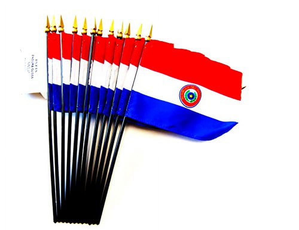 Box of 12 Mini Paraguay Desk & Table Flags (4"x6") - High-Quality ...