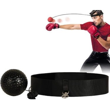 Title Boxing Professional Weighted Swing Training Slip Ball - Reflex ...