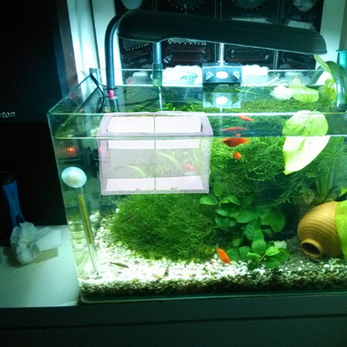 Box Breeder Fish Aquarium Net Breeding Fry Guppies Double Hatcheryboxes ...