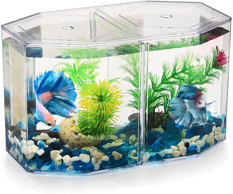 Box Octagonal Fish Tank Betta Fish Bowl Small Containers Shrimp Tank ...