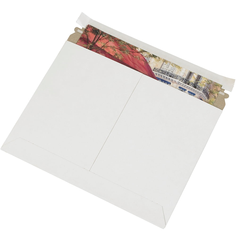 Secure Document Mailers | Professional Business Supplies - Walmart ...