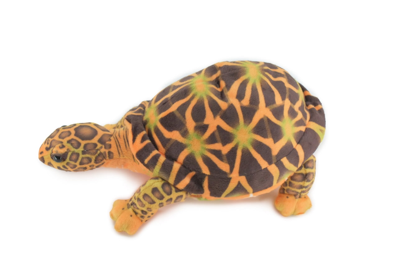 Box Turtle Plush Animal, Soft, Stuffed Reptile Toy, Educational ...
