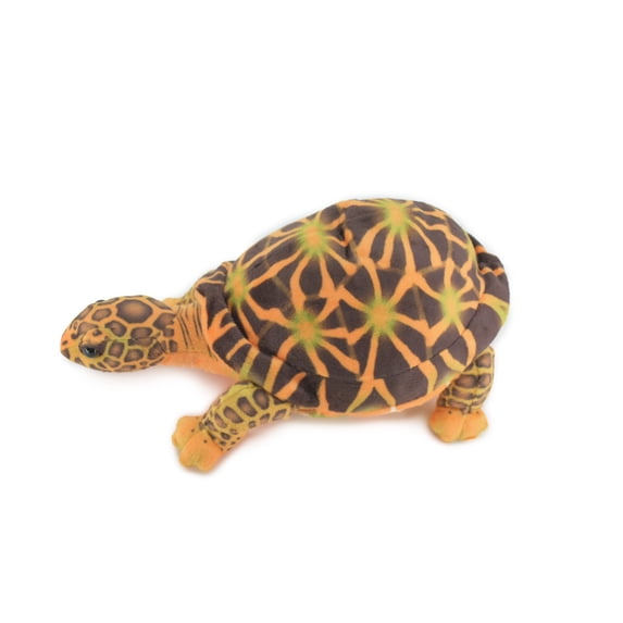Box Turtle Plush Animal, Soft, Stuffed Reptile Toy, Educational ...