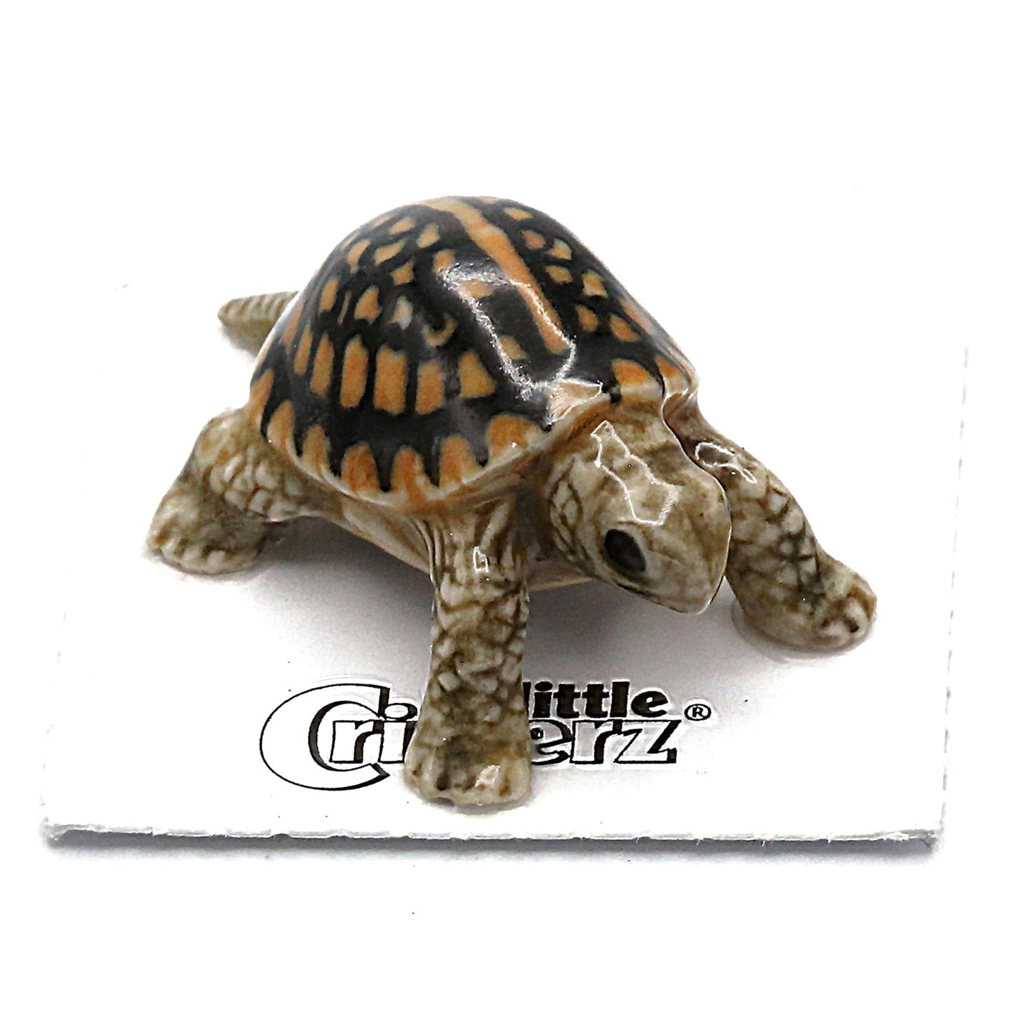 Box Turtle figurine "Dom" - miniature porcelain figurine - Walmart.com