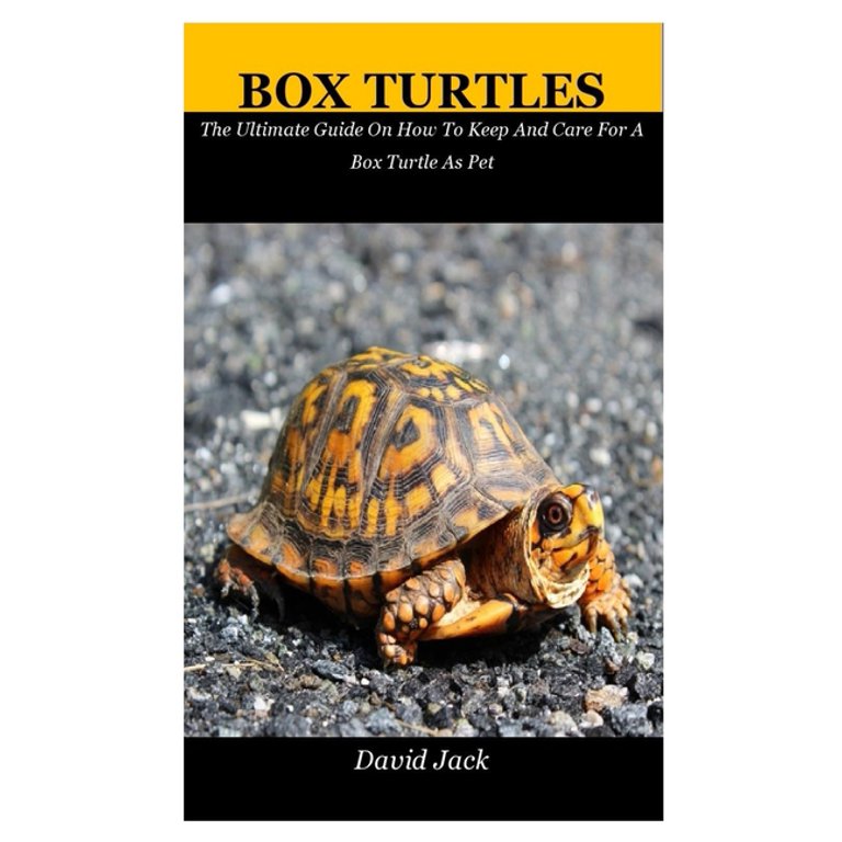 Keeping Turtles | ppgbbe.intranet.biologia.ufrj.br
