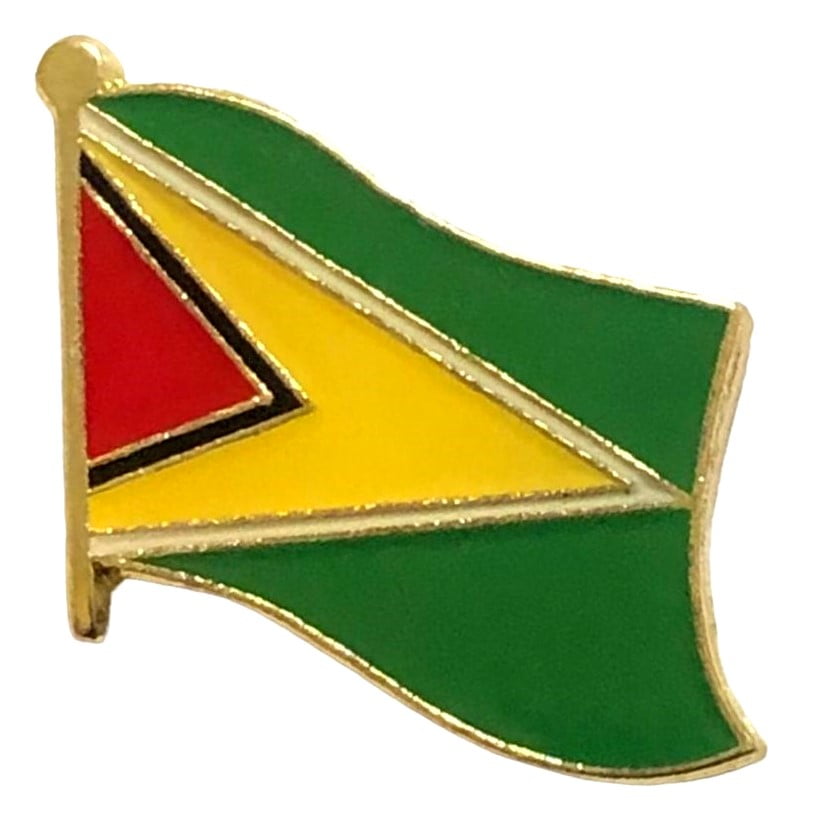 Box of 12 Guyana Single Flag Lapel Pins, Guyana Single Flag Pin Badges ...