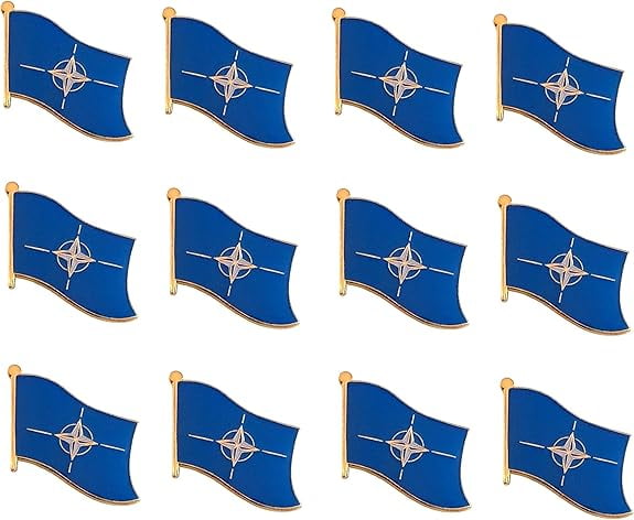 Box of 12 NATO Single Flag Lapel Pins, NATO Single Flag Pin Badges with ...