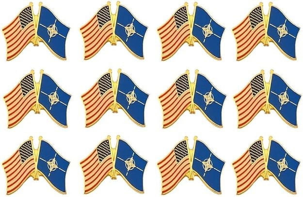 Box of 12 Nato & US Crossed Flag Lapel Pins, Country & American Double ...