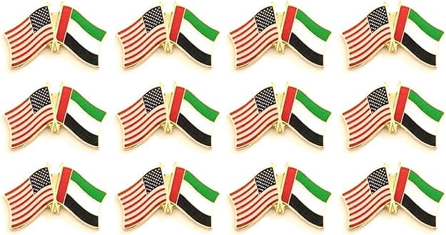 Box of 12 UAE & US Crossed Flag Lapel Pins, Country & American Double ...
