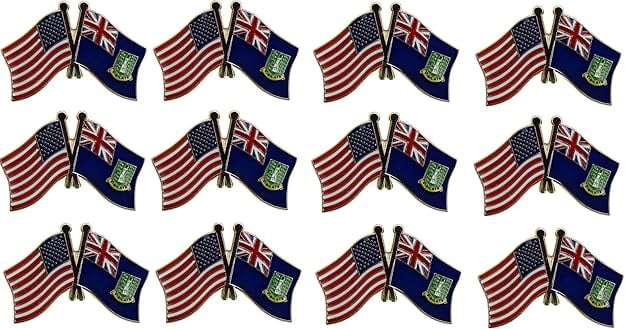 Box of 12 Virgin Islands & US Crossed Flag Lapel Pins, Country ...