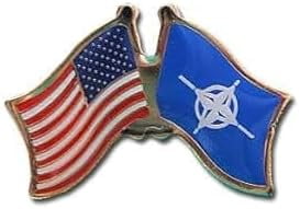 Box of 3 Nato & US Crossed Flag Lapel Pins, Country & American Double ...