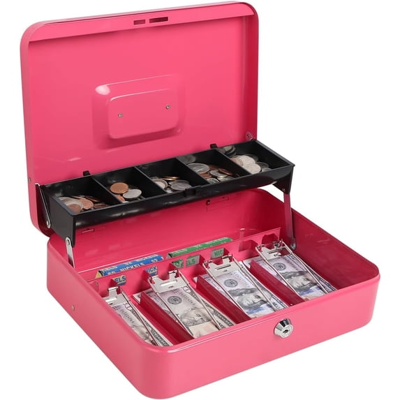 Box with Tray and Key Lock, Large Box, 5 Compartments for Cions & 4 ...