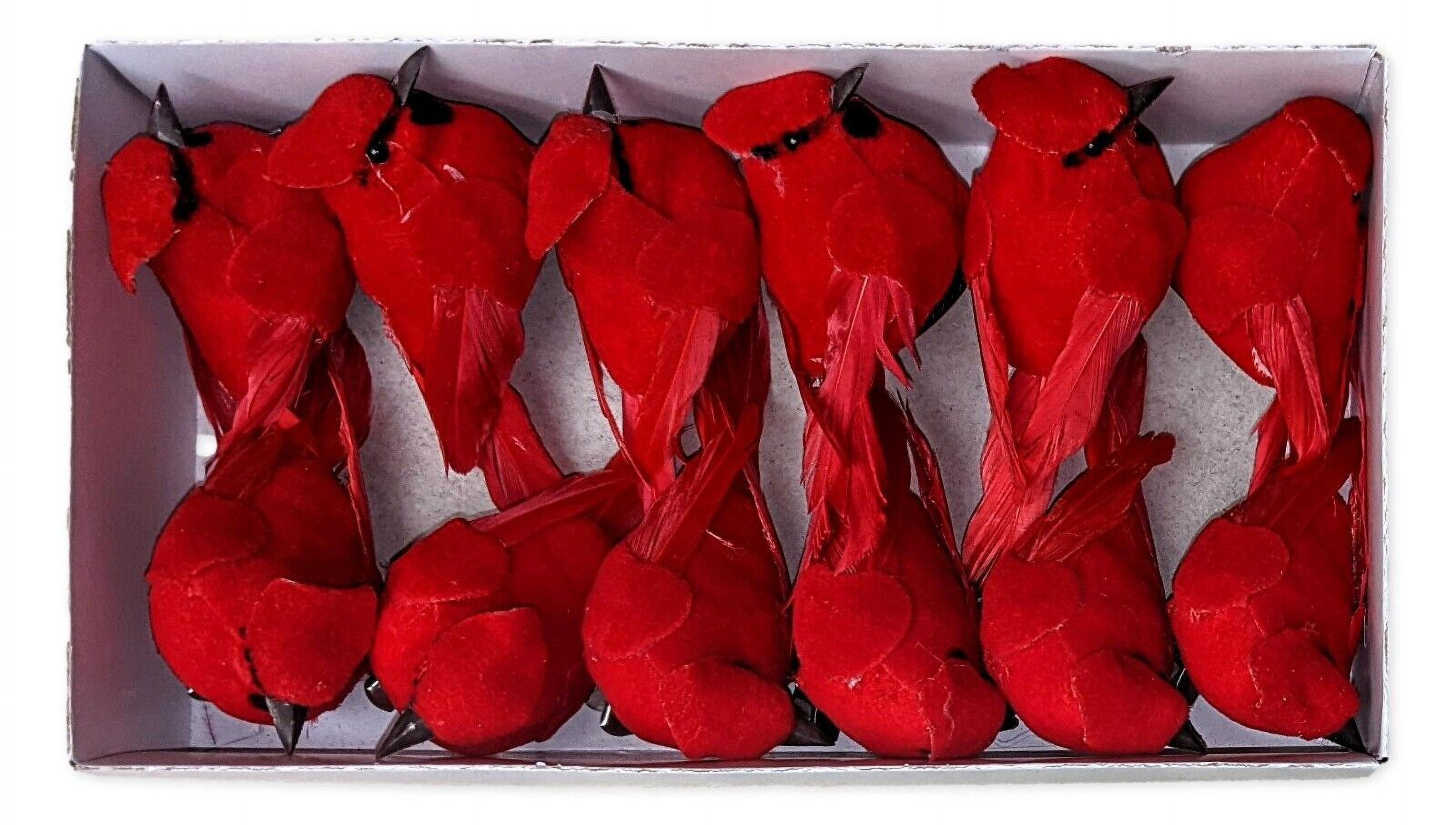 Boxed Set of 12 MINI CARDINAL Clip-on 3.25" Christmas Ornaments by ...