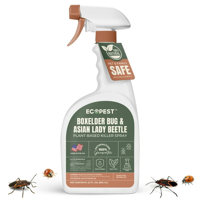 Boxelder Bug & Asian Lady Beetle Spray | Natural, Plant-Based Insect ...
