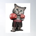Boxer Cat Love Put 'Em Up Design Poster Wall Art Modern Wall Decor For ...