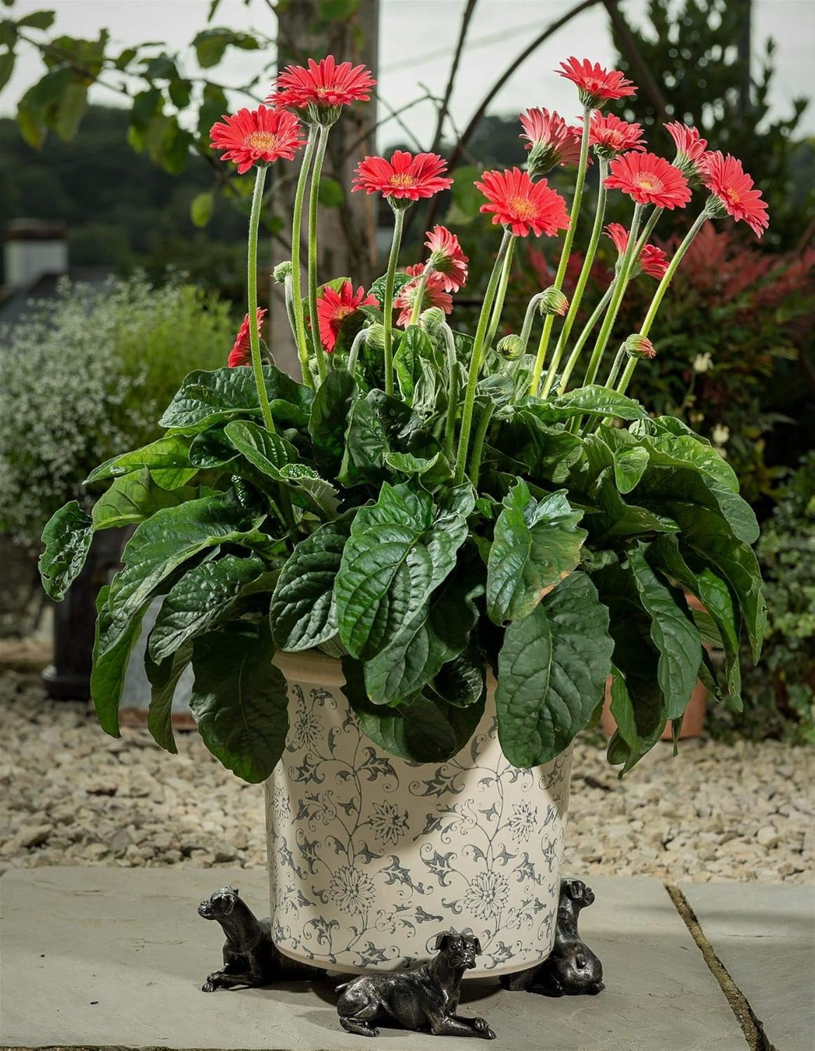 Boxer Dog Pot Feet - Set of 3 - Walmart.com