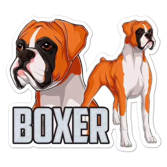 Boxer Dog Puppy Sticker Indoor Outdoor Phone Decal Water Bottle ...