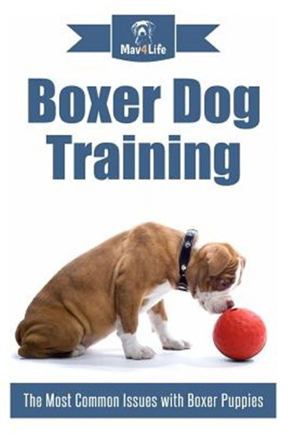 Boxer Dog Training: The Most Common Issues with Boxer Puppies - Walmart.com