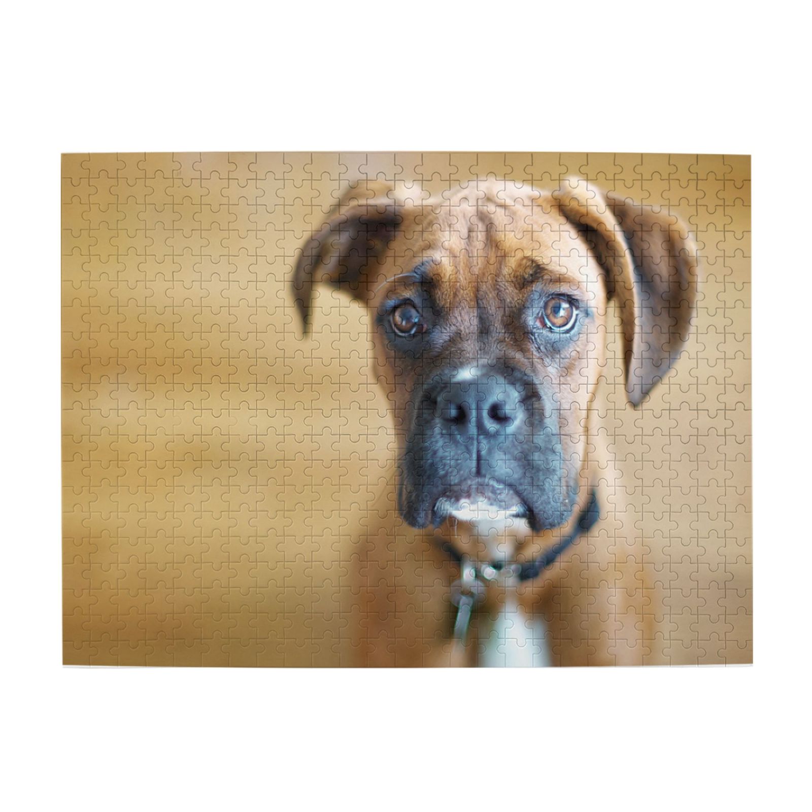 Boxer Dogs Puppy Pets Dogs, Jigsaw Puzzles 500 Pieces Wooden Jigsaw Toy ...