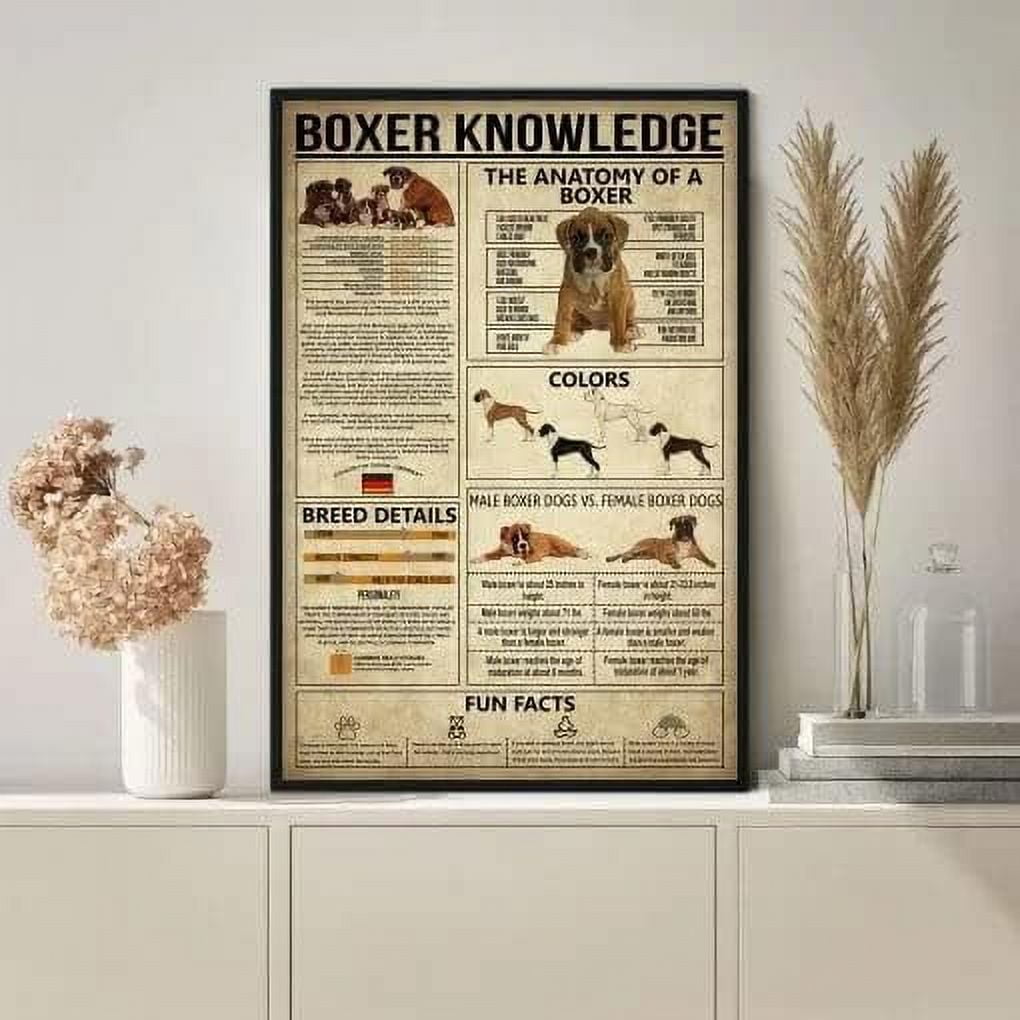 Boxer Knowledge Jigsaw Puzzles for Adults 1000 Pieces Fun Educational ...