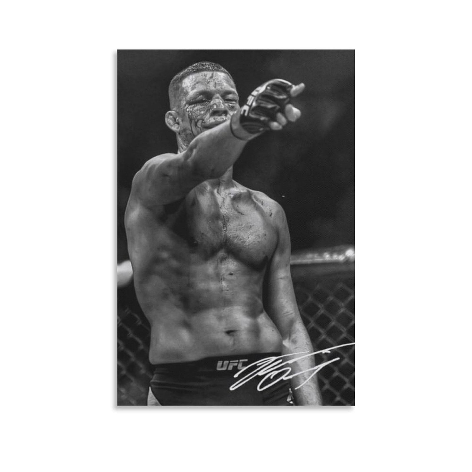 Boxer Nate Diaz Classic Poster Canvas Painting Posters And Prints Wall ...