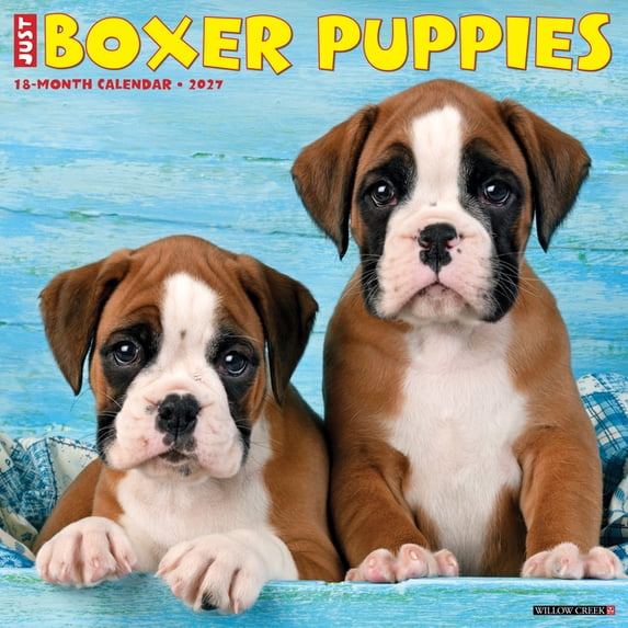 Boxer Puppies 2027 12 X 12 Wall Calendar, (Paperback) - Walmart.com