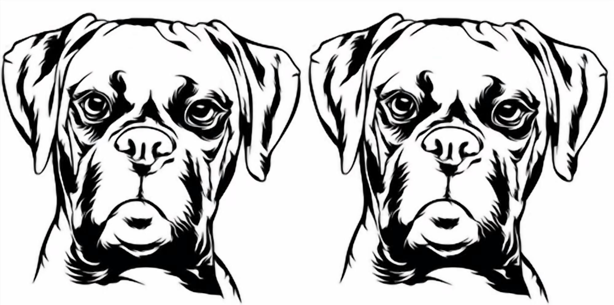 Boxer Stare Two 5" Black Vinyl Decals Car Truck Window Laptop Tablet ...