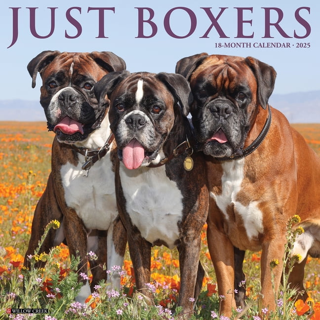 Boxer Calendar