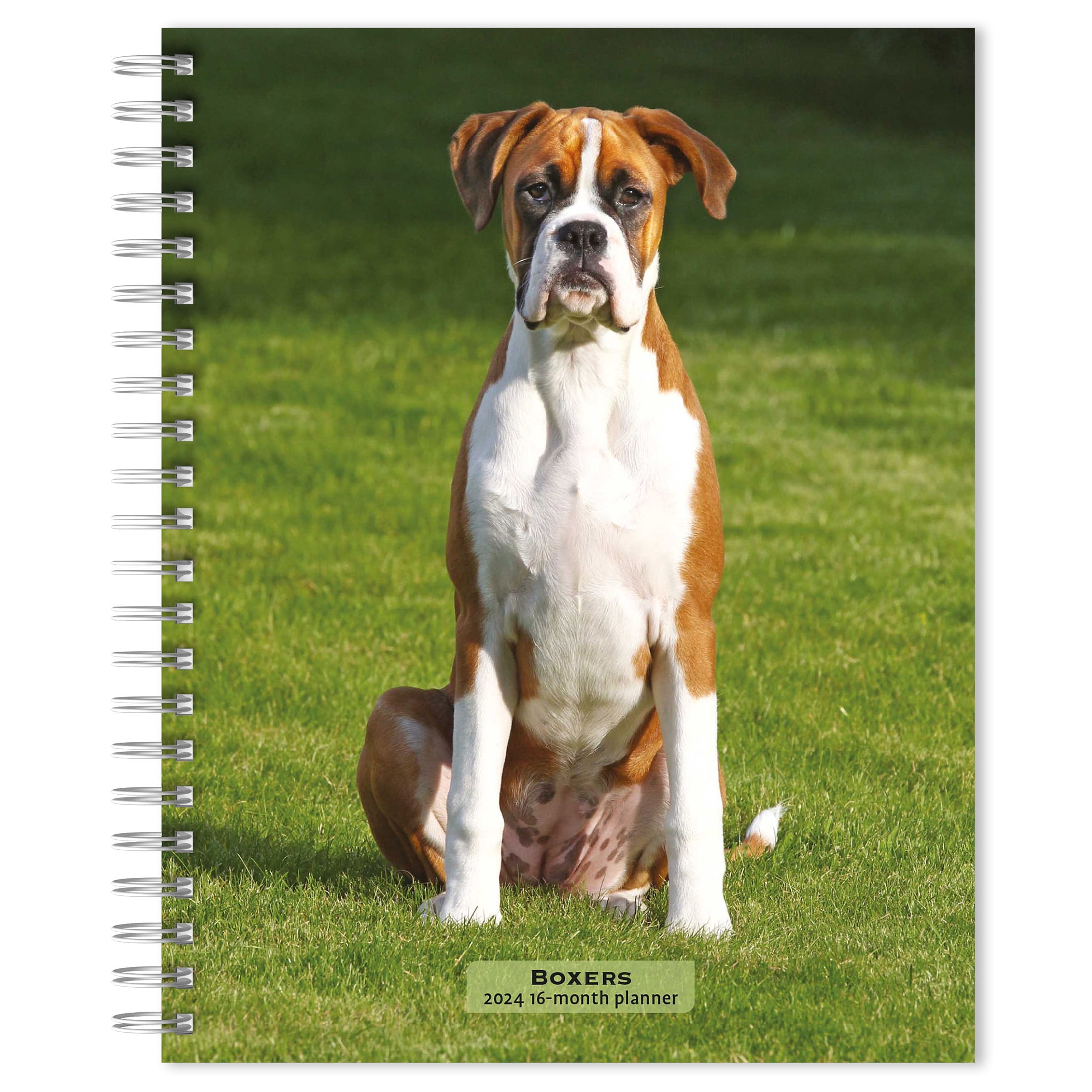 Boxers International Edition | 2024 6x7.75" Wire-O Engagement Planner ...