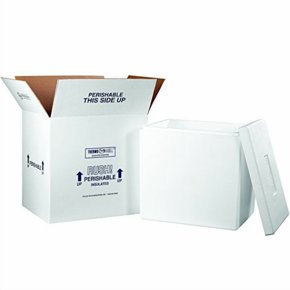 Foam Insulated Shipping Boxes