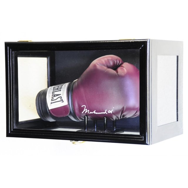 Boxing Glove Display Case (Wall Mounting/Free Standing) - Walmart ...