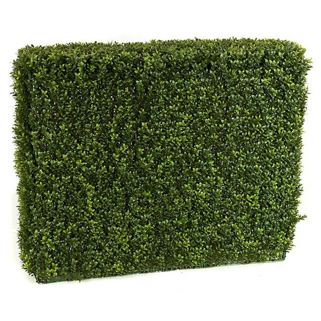 Boxwood Hedge- Tutone Green - Walmart.com