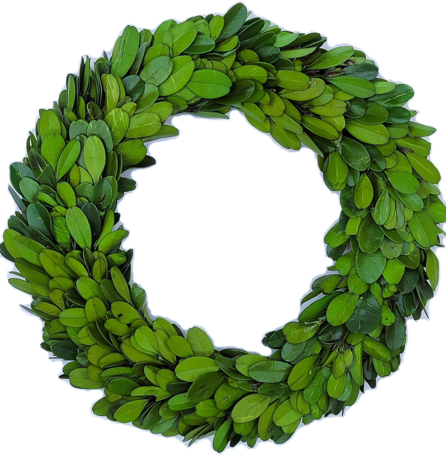 Boxwood Wreath 8 Inch Preserved Boxwood Wreath, Door Wall Hanging Table ...