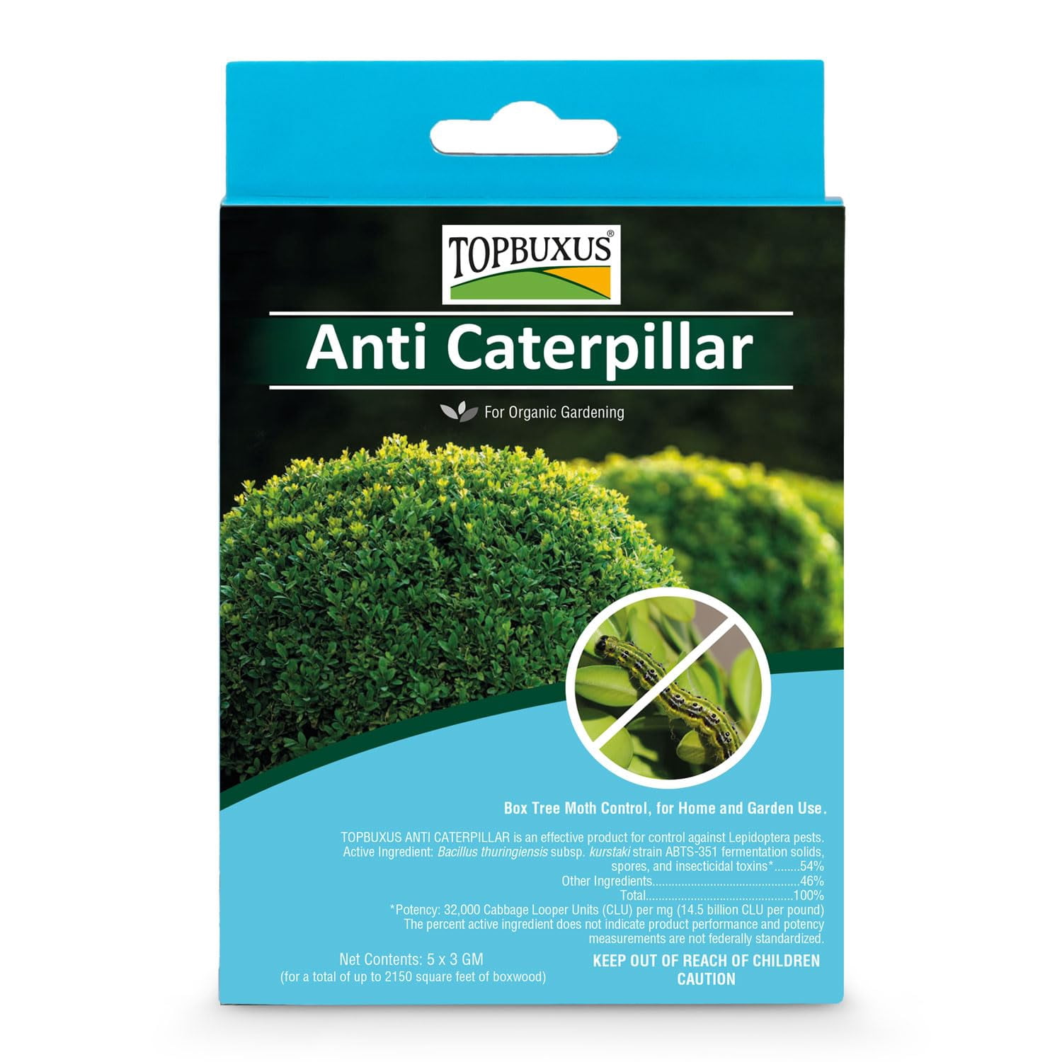Boxwood against caterpillars () - organic control box moth - covers ...