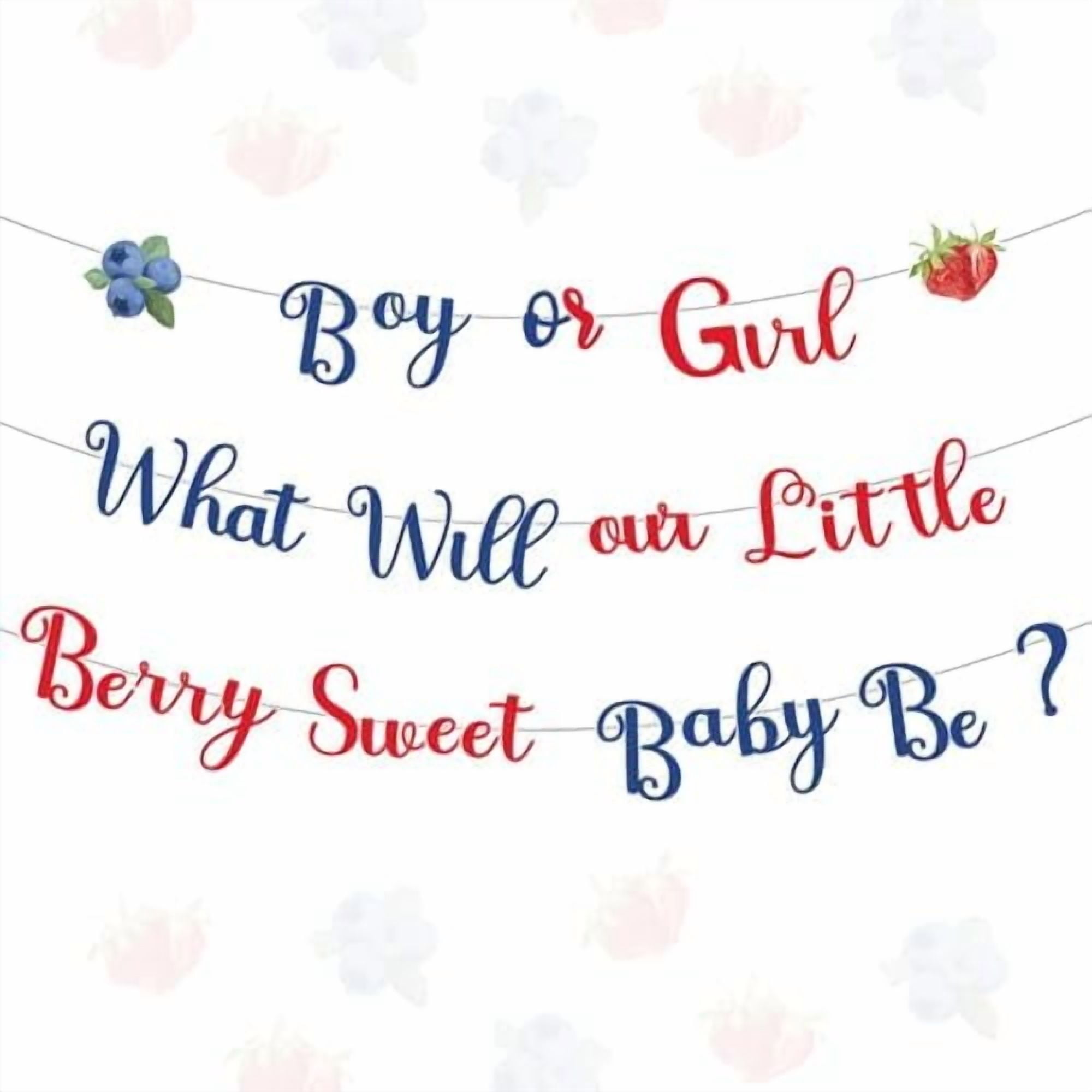 Boy or Girl What Will Our Berry Sweet Baby Be Banner Backdrop Pink and ...