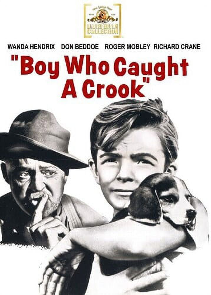 Boy Who Caught a Crook (DVD), MGM Mod, Kids & Family - Walmart.com
