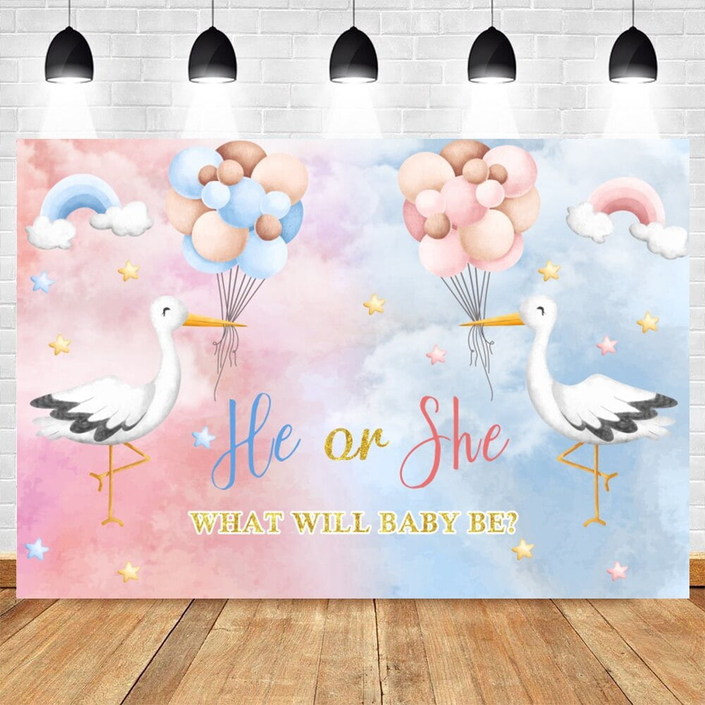 Boy or Girl Gender Reveal Backdrop He Or She Baby Shower Party Blue ...