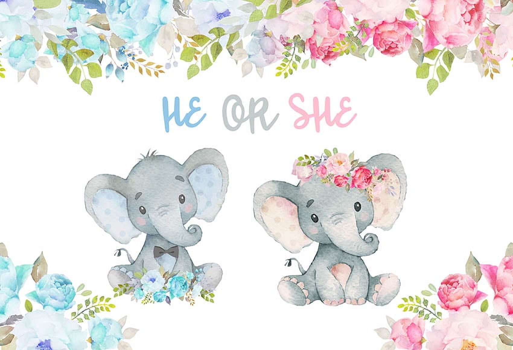 Boy or Girl Gender Reveal He or She Baby Shower Party r Banner Backdrop ...