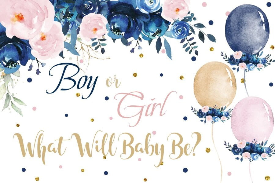Boy or Girl Gender Reveal Photo Backdrop Blue Pink Balloon Watercolor ...
