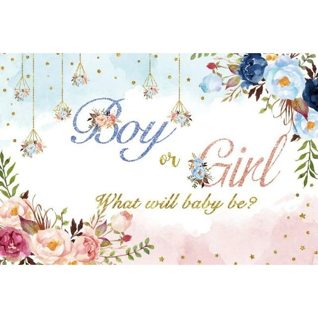 Boy or Girl Gender Reveal Photo Backdrop Blue Pink Balloon Watercolor ...